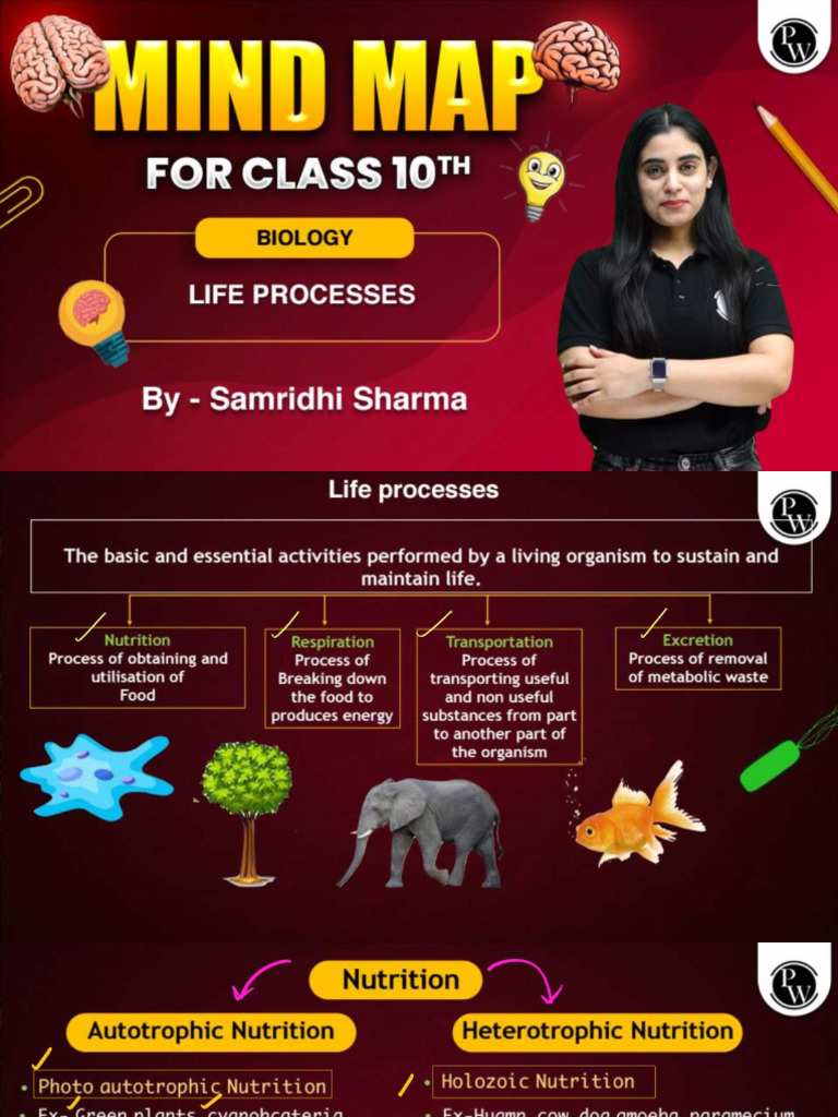 Life Processes - Class Notes - Class 10th Mind Map Series | PDF