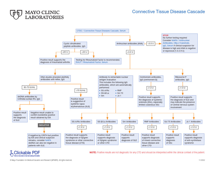 Connective Tissue Disease Cascade | PDF | Immune System | Immune System ...