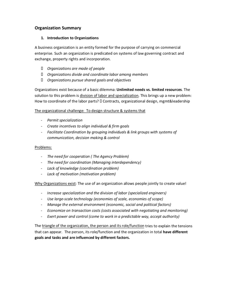 Organization Summary | Organizational Structure | Strategic Management