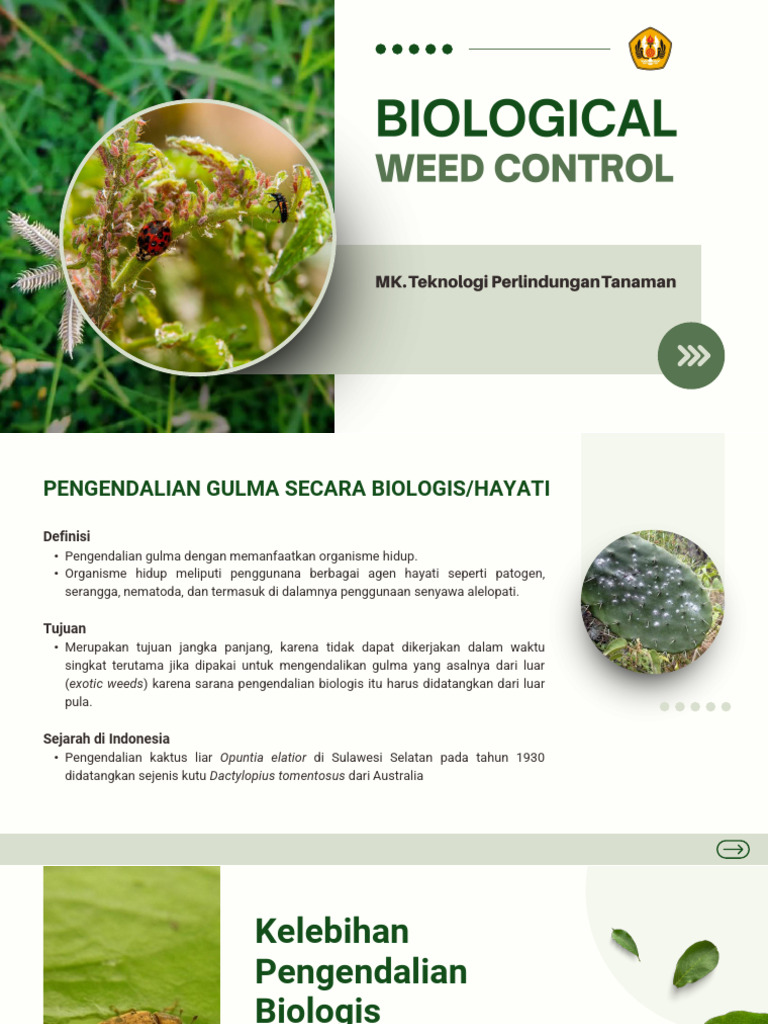 Materi 2 - Biological Weed Control | PDF