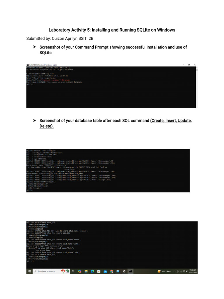 Laboratory Activity 5 | PDF