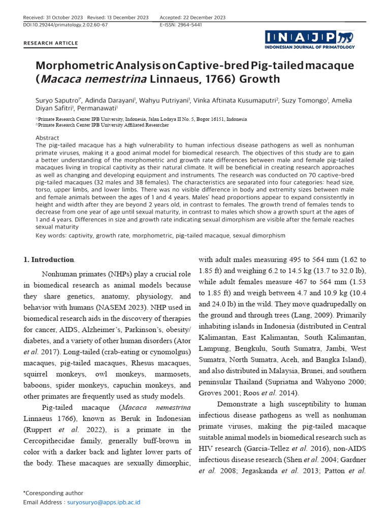 Morphometric Growth in Pig-tailed Macaques | PDF