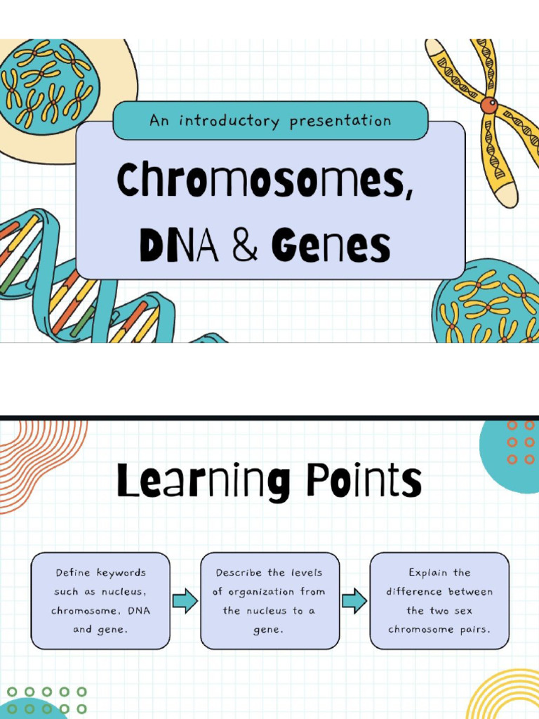 Chromosomes DNA Grade 8 | PDF