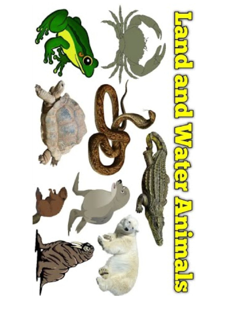 Land Animals | PDF