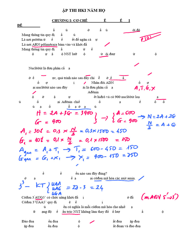 ÔN TẬP THI HKI | PDF