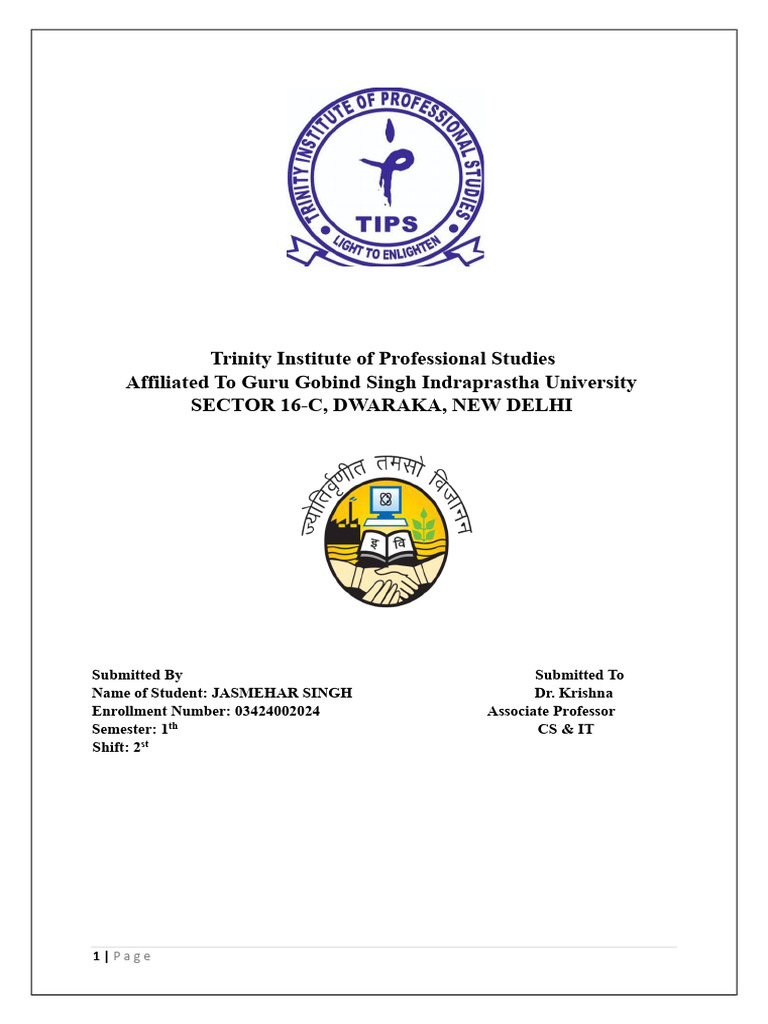 BCA Semester WT PRACTICAL FILE | PDF | World Wide Web | Internet & Web