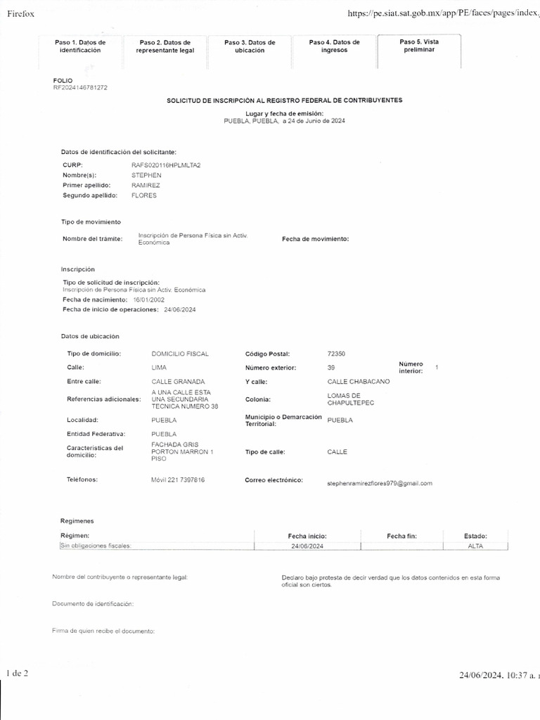 CSF Stephen Ramirez Flores | PDF
