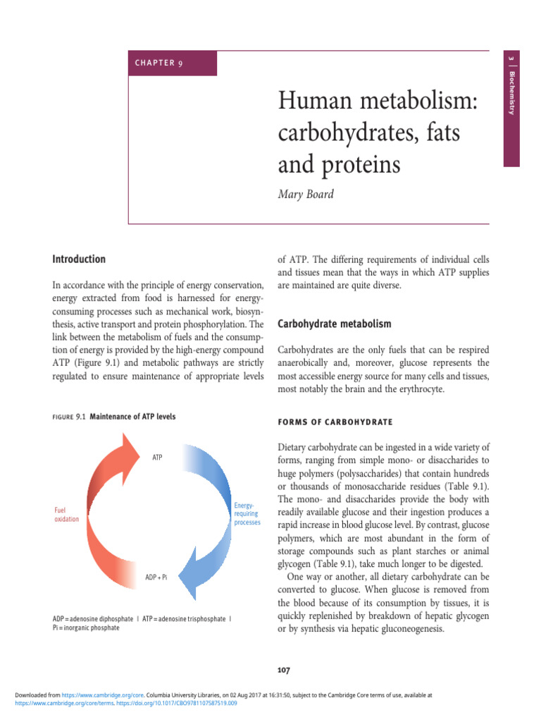 Human Metabolism Carbohydrates Fats and Proteins | PDF | Cellular ...