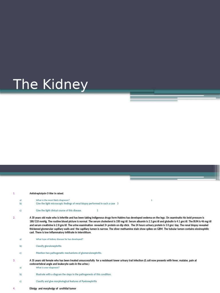 The Kidney | PDF | Kidney Disease | Diseases And Disorders