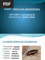 Cockroach Ncert | PDF