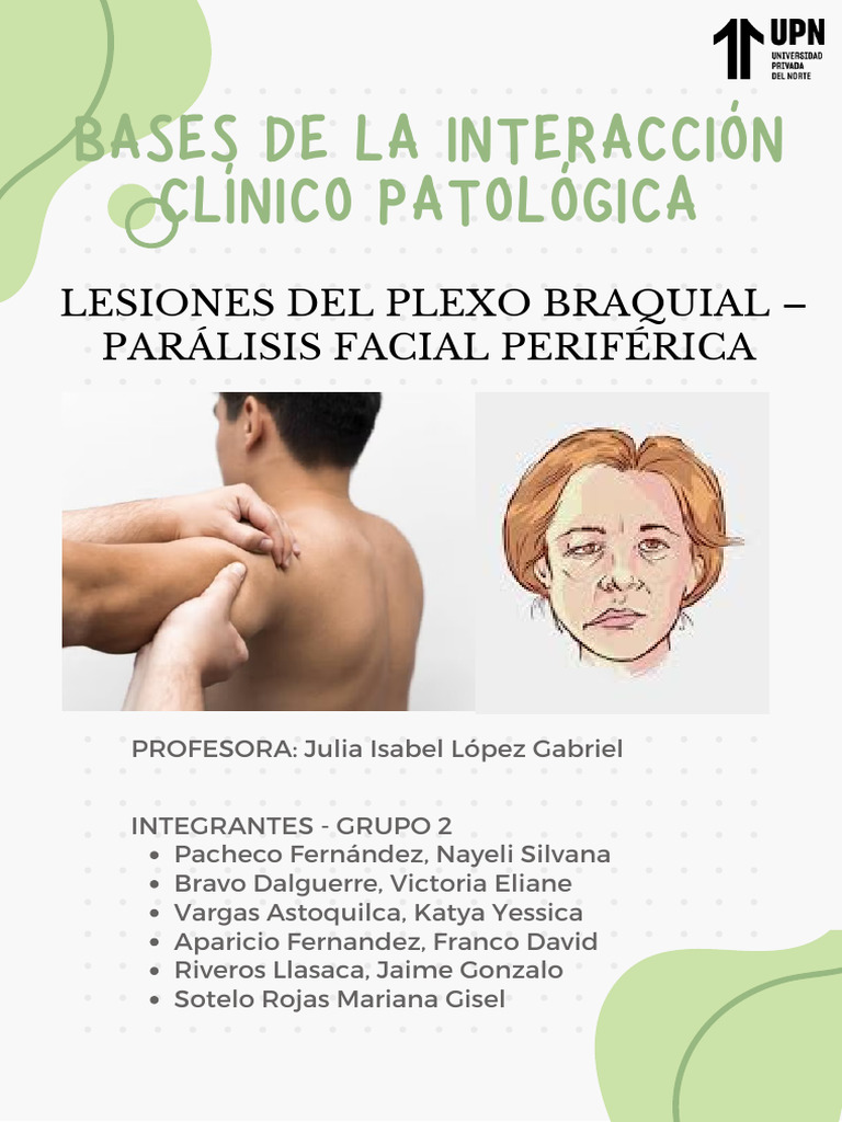 Infografia de Lesiones Del Plexo Braquia - Paralisis Facial Periferical ...