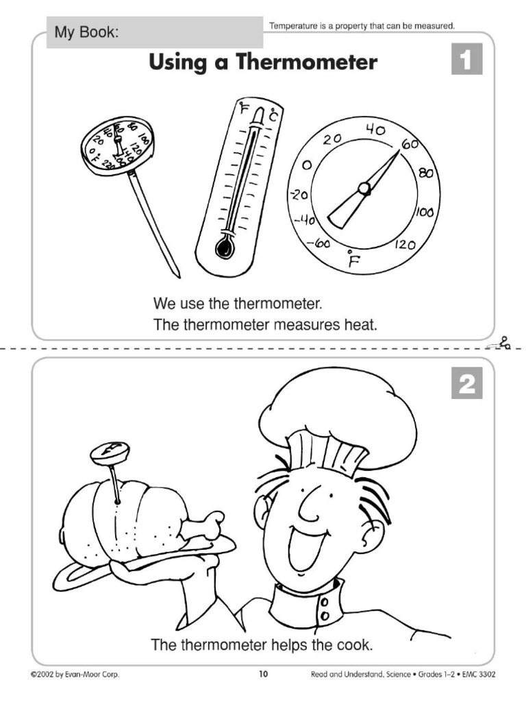 Read and Understand Science, Grades 1-2-3 | PDF