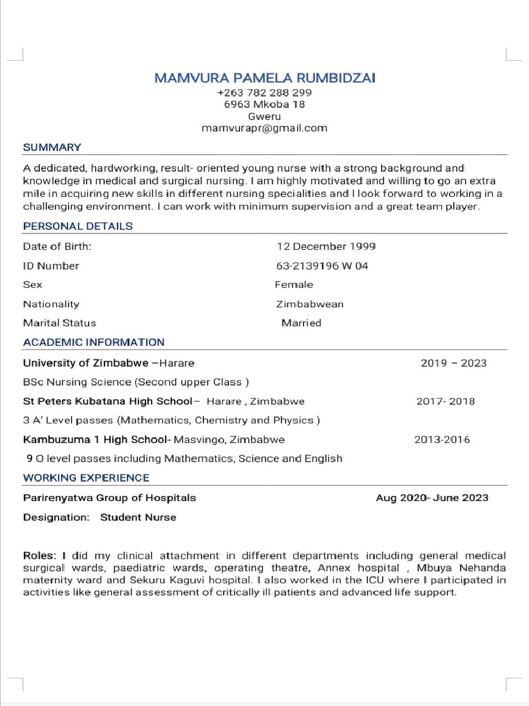 Pamela Mamvura CV | PDF