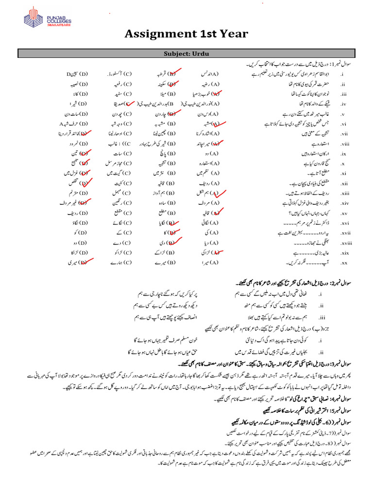 1st Year Assignment | PDF