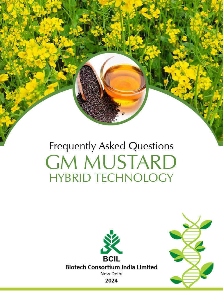 GM-Mustard - 02.01.24 | PDF | Biotechnology | Pollination