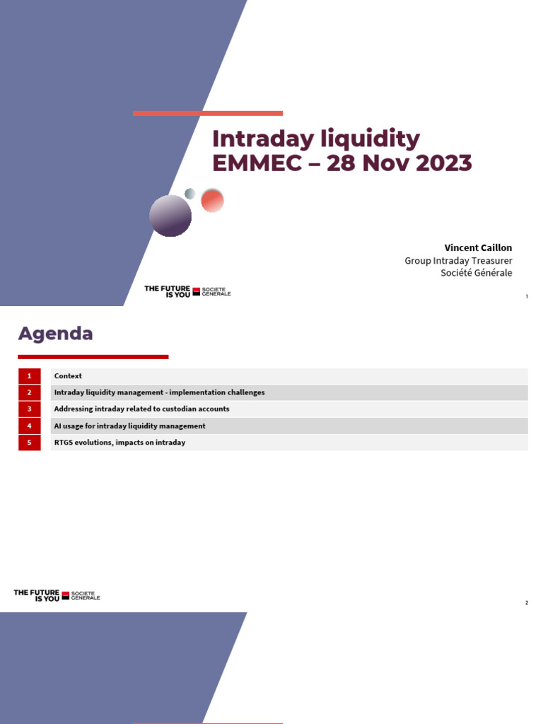 Intraday Liquidity Management Insights | PDF | Securities (Finance ...