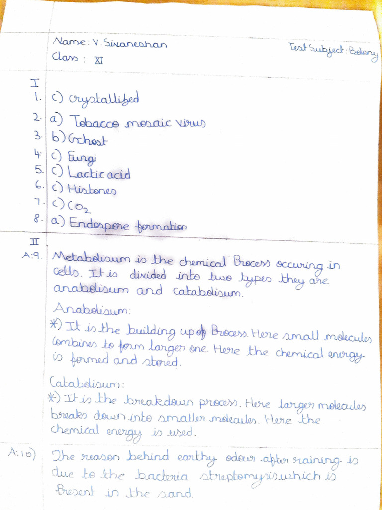 Bio Botany Test | PDF