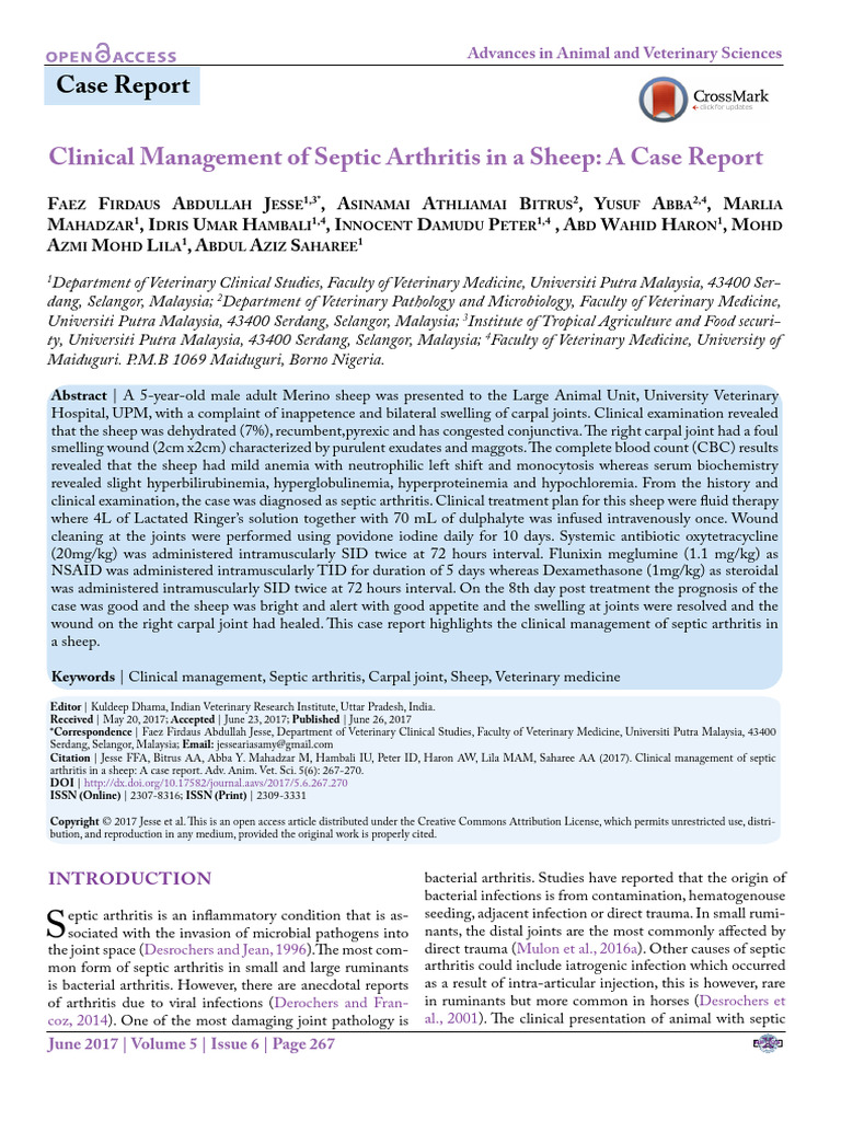 Clinical Management of Septic Arthritis in A Sheep - A Case Report ...
