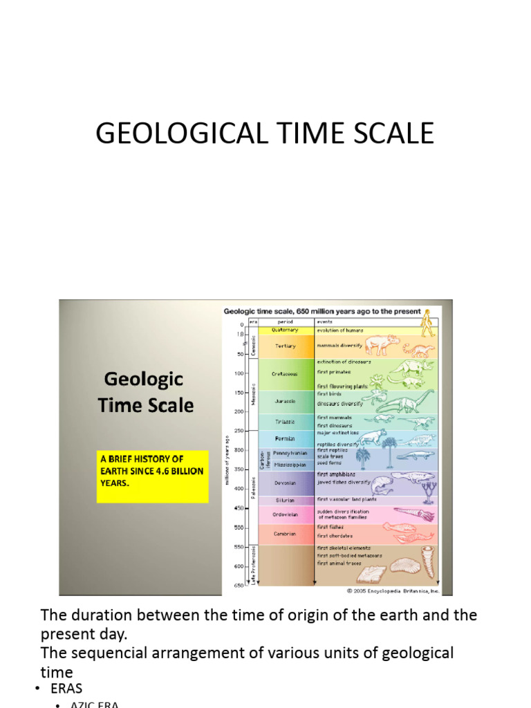Geological Time Scale | PDF | Social Science | Science & Mathematics