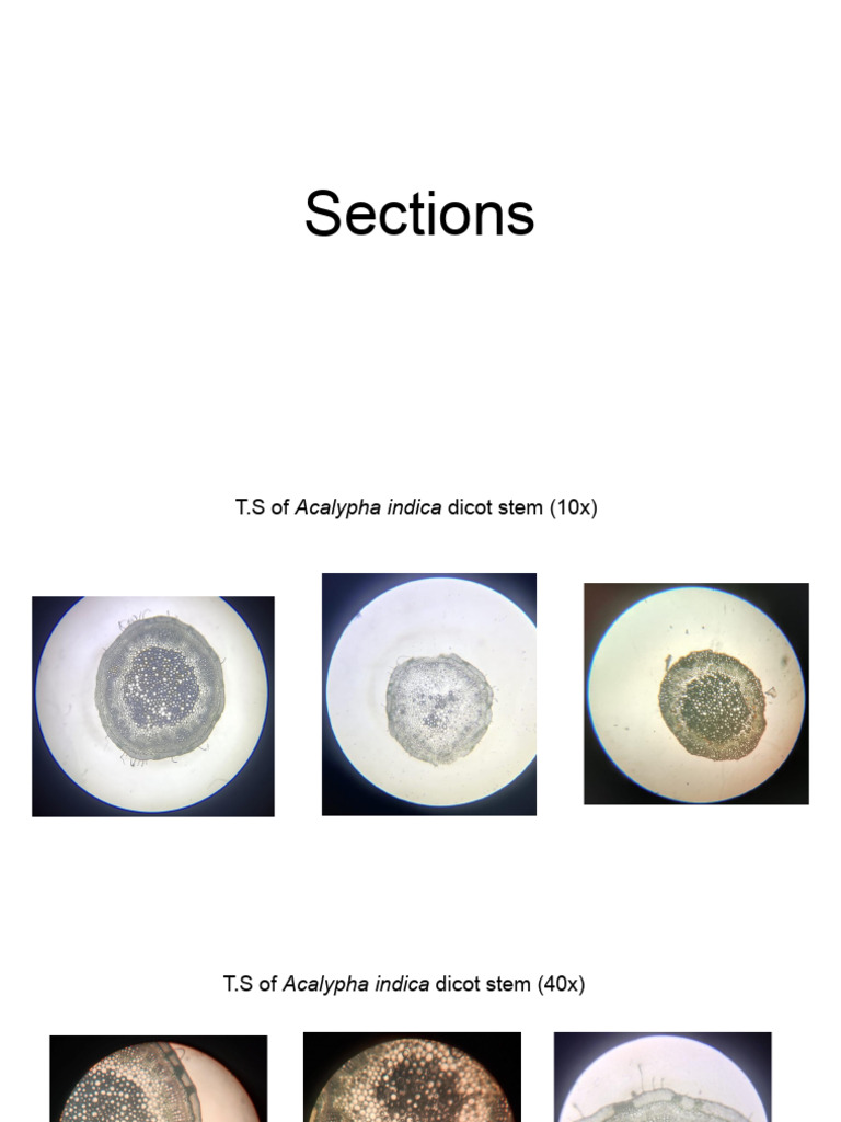 Record Sections | PDF