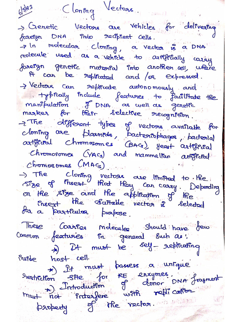 Cloning Vectors - Puc, Yac, Bac | PDF