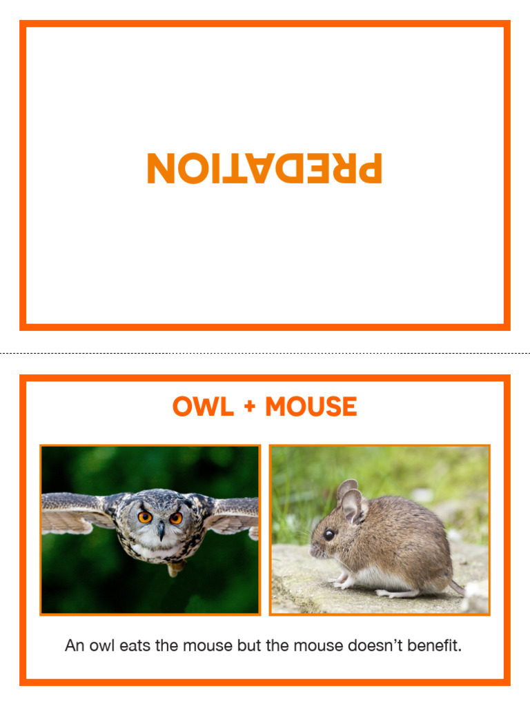 GG Symbiotic Relationships Game | PDF | Predation | Parasitism