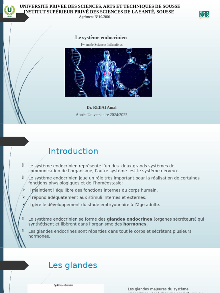 Comprendre le Système Endocrinien | PDF | Hypophyse | Hypothalamus
