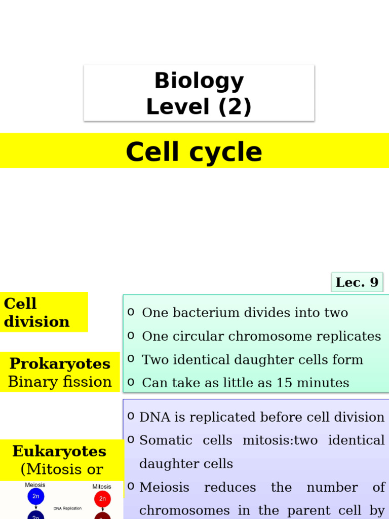 11 Cell Cycle | PDF | Social Science