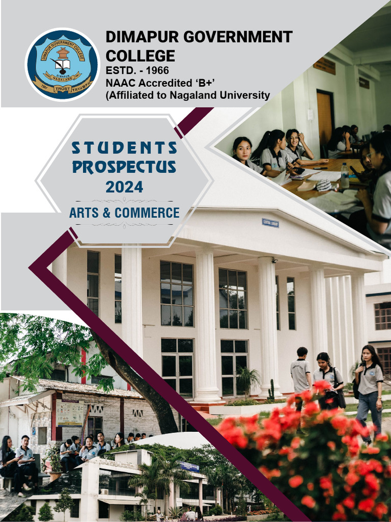 Prospectus 2024 DGC | PDF | University And College Admission | Academic ...
