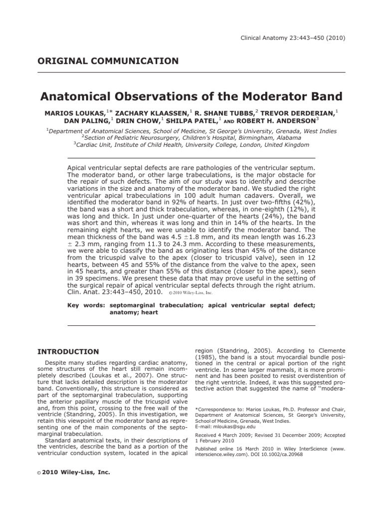 Anatomical Observations of The Moderator Band | PDF | Ventricle (Heart ...