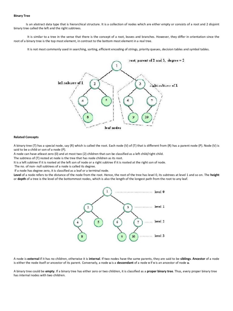 Binary Tree Lecture Pdf Areas Of Computer Science Theoretical Computer Science 