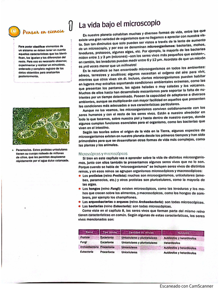 Apunte Final de Biologia | PDF