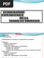 Anatomie des reins et leur vascularisation | PDF | Rein | Foie