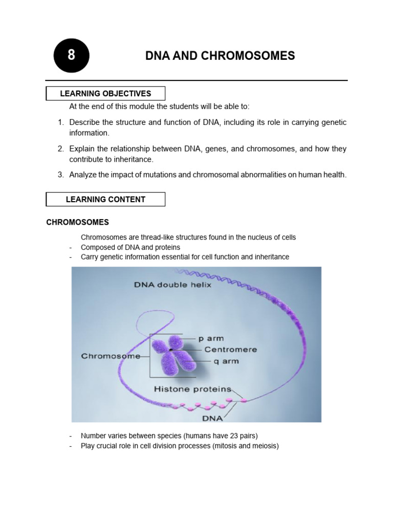 8.-DNA-and-Chromosomes | PDF | Dna Replication | Dna