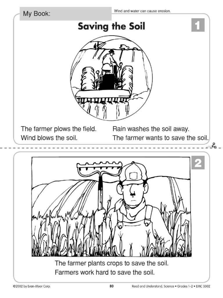 Read and Understand Science, Grades 1-2-17 | PDF