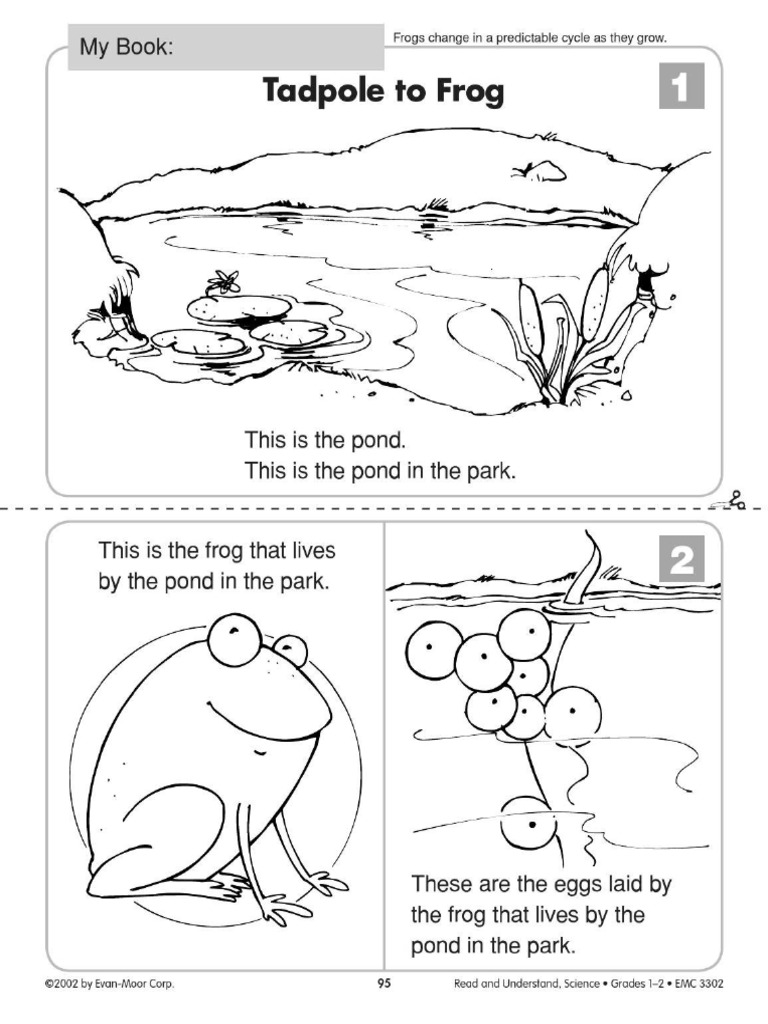 Read and Understand Science, Grades 1-2-20 | PDF