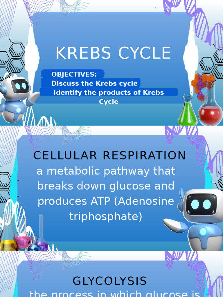 Understanding the Krebs Cycle Process | PDF