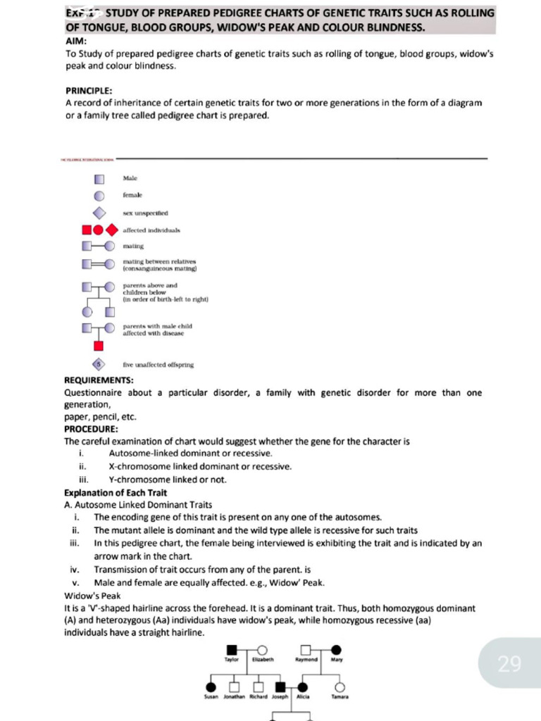 g12 Ex 11 To Study The Prepared Pedigree Charts of Genetic Traits | PDF