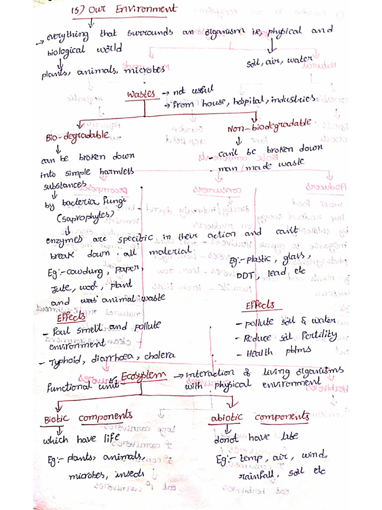 Our Environment | PDF