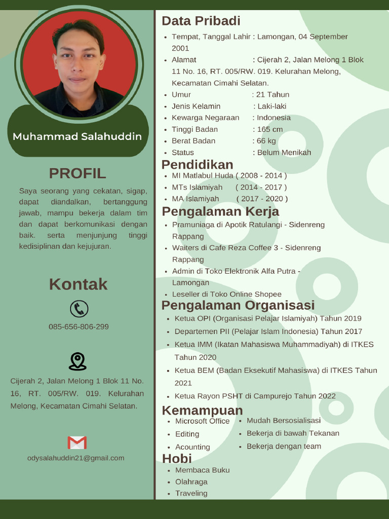 CV Muhammad Salahuddin | PDF