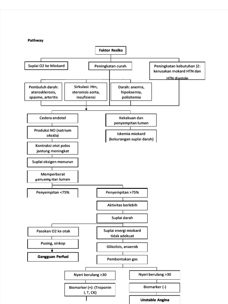 PDF Pathway Nstemi - Compress | PDF