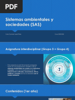 SAS IB Guia Completa | PDF | Entorno natural | Sustentabilidad
