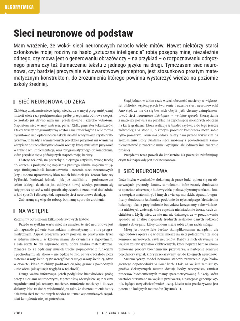 Programista 111 Sieci Neuronowe | PDF