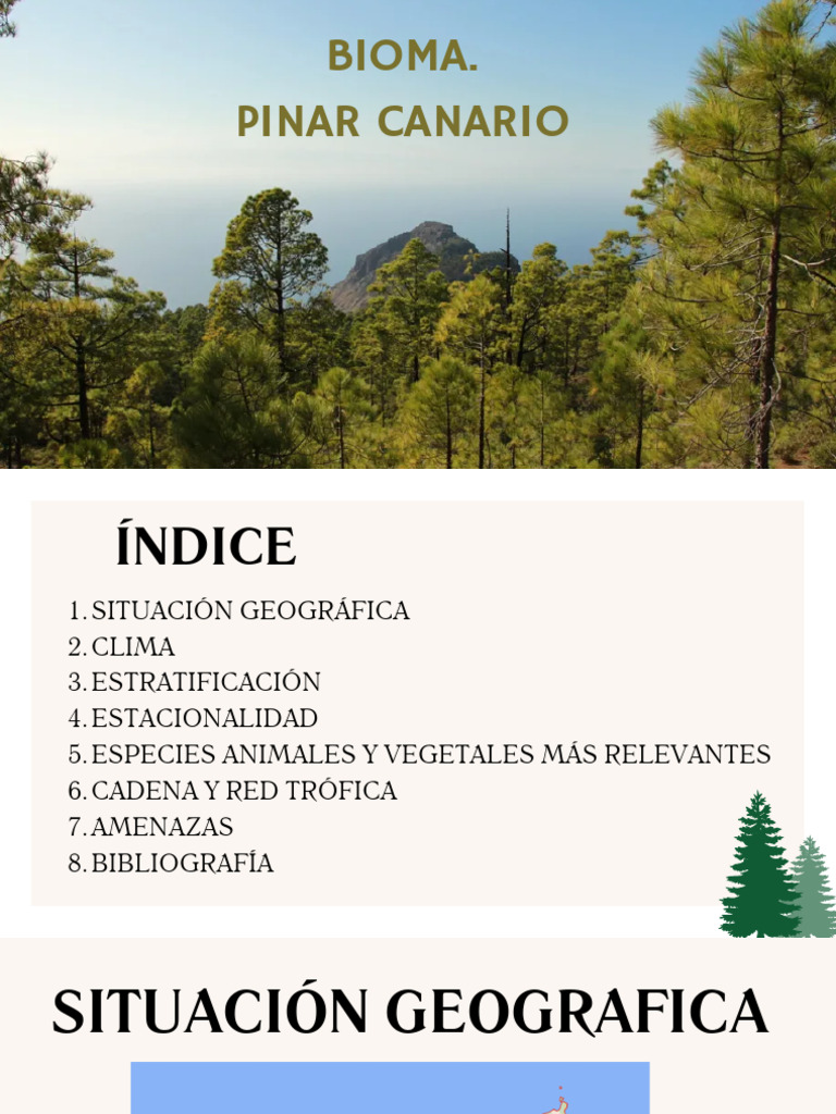 Bioma Pinar Canario | PDF | Islas Canarias | Clima