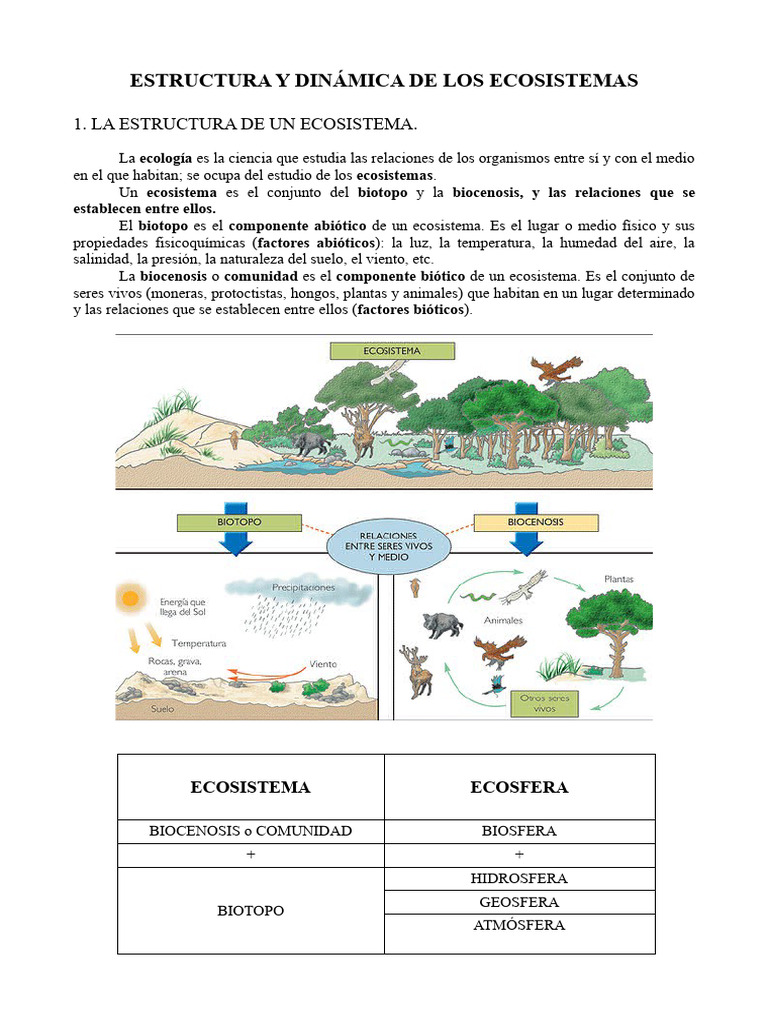 LOS ECOSISTEMAS (1) | PDF | Ecosistema | Red alimentaria