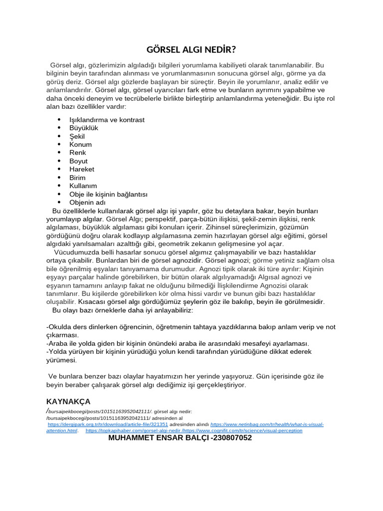 Görsel Algi Ödev | PDF
