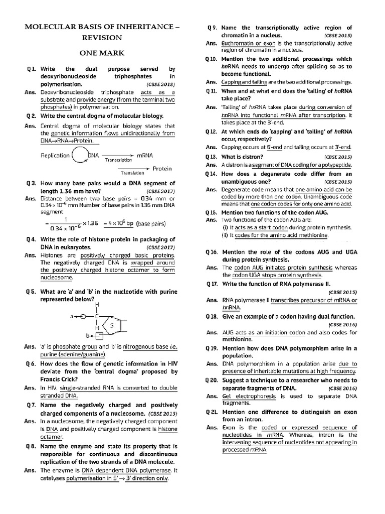 5 - Molecular Basis of Inheritance - Revision | PDF