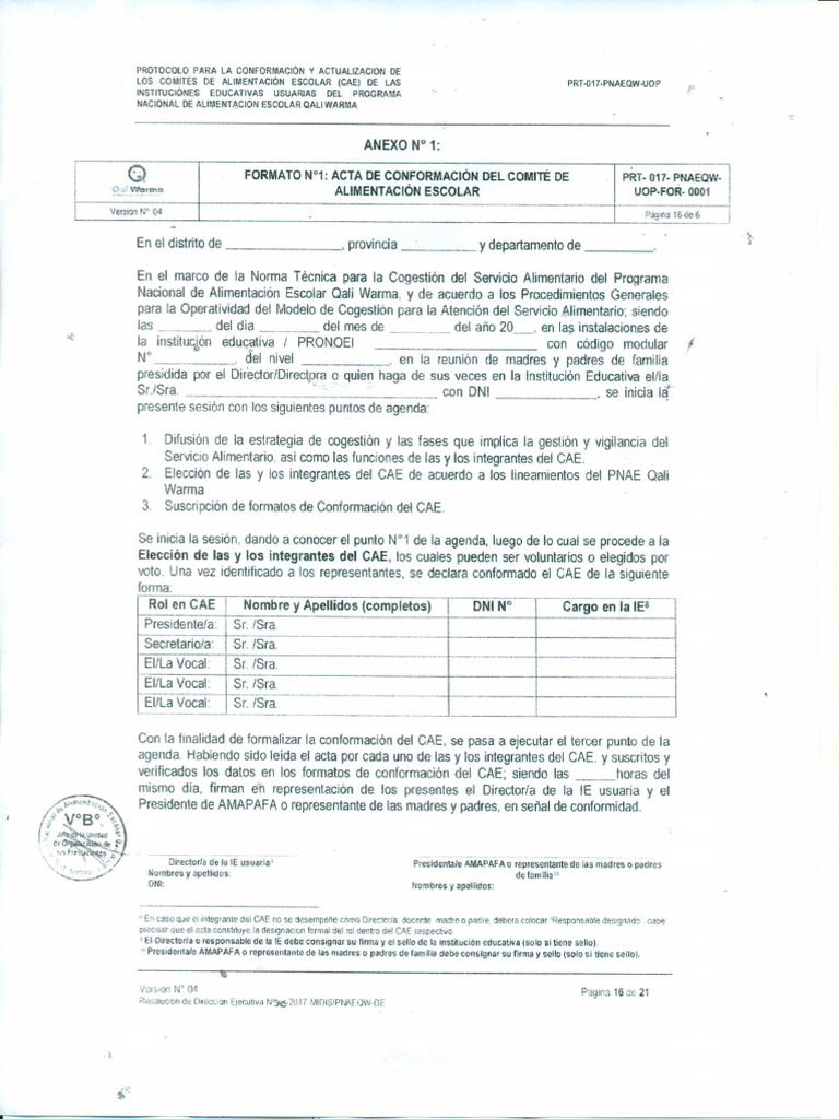 Anexo 1 - Acta de Conformacion Del Cae 0 | PDF
