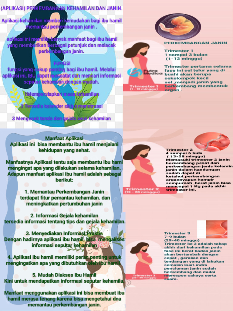 Meirona (A1a222124) Poster Perkembangan Kehamilan Dan Janin (Aplikasi ...