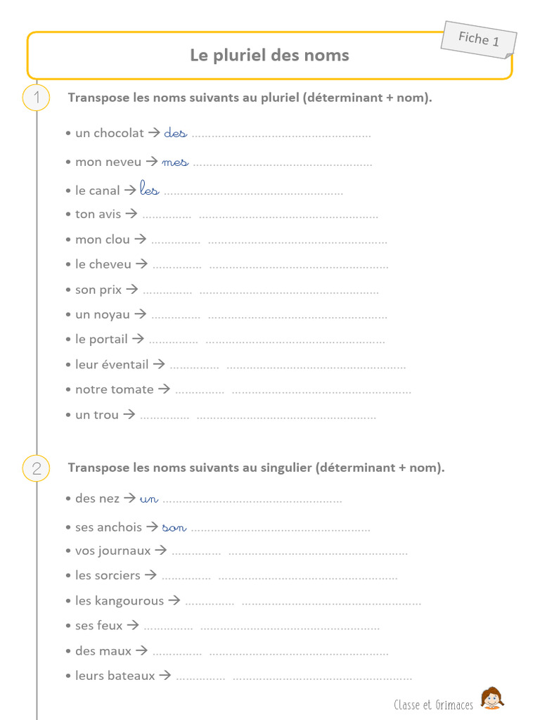 Fiche Dexercices Le Pluriel Des Noms | PDF